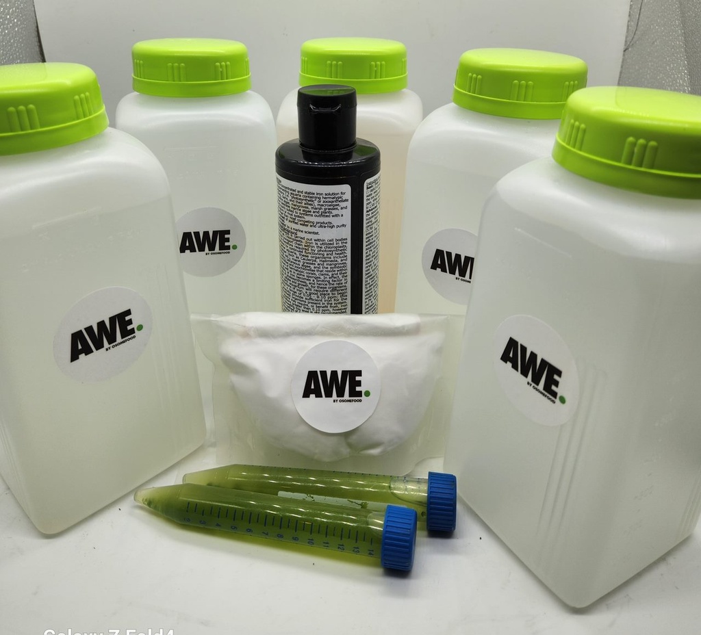AWE Algae Home Cultivation Kit | Wholesome Savour Pte Ltd